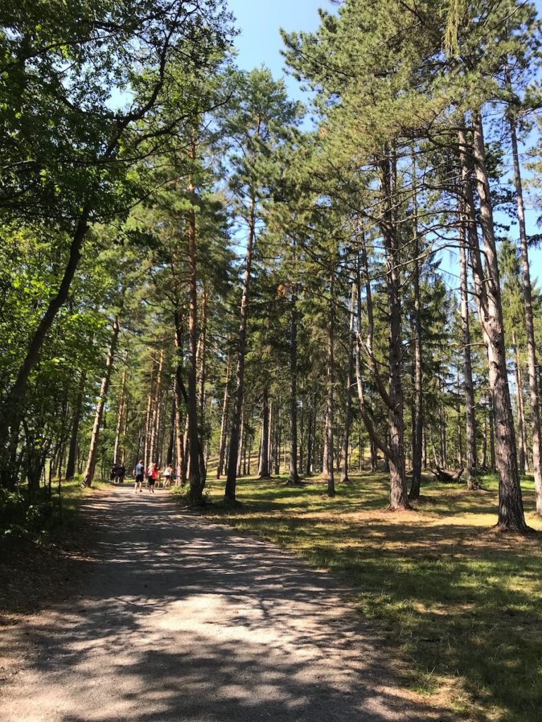 Vyhliadková veža v Bojniciach